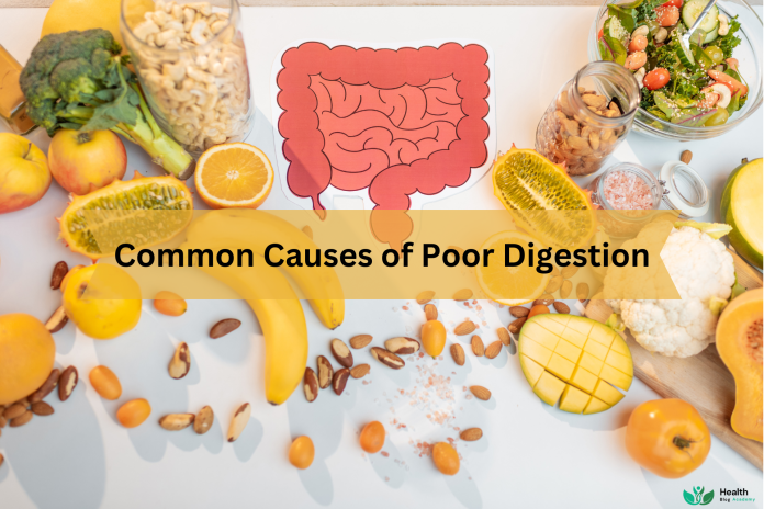 Poor Digestion: Causes, Symptoms, and Solutions